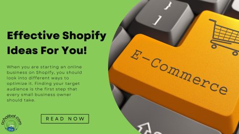 9 Shopify Ideas for Online Business Owners - Ometrics